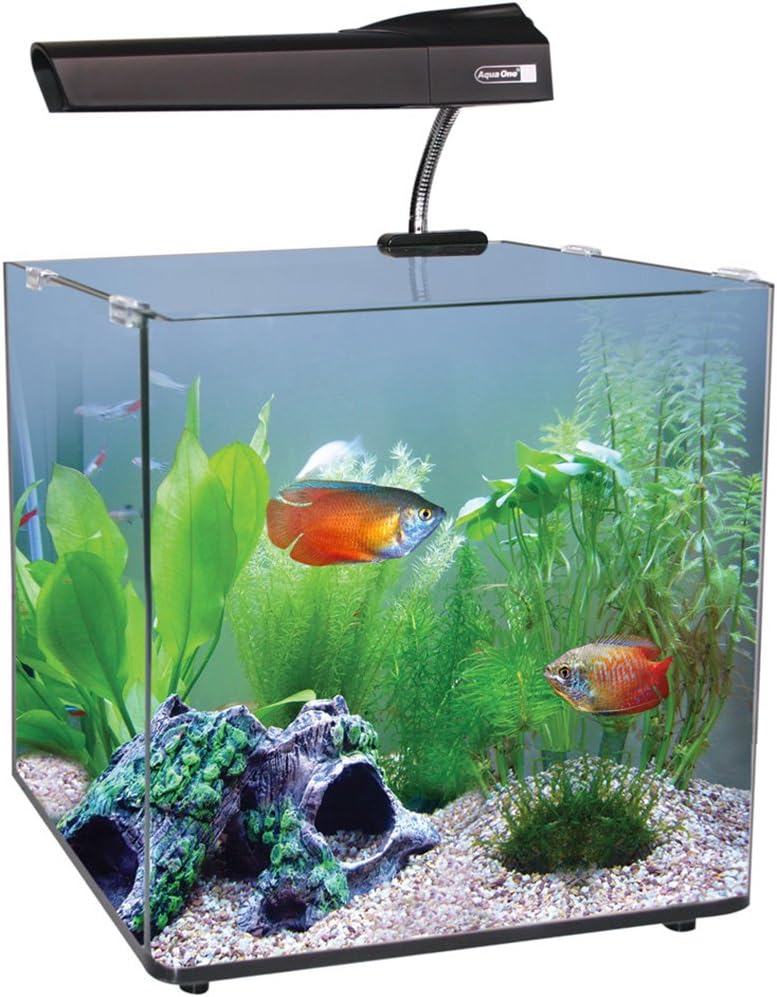 Aqua One 40 AquaNano 55L Complete Tropical Glass Aquarium Set 40cm NO ...