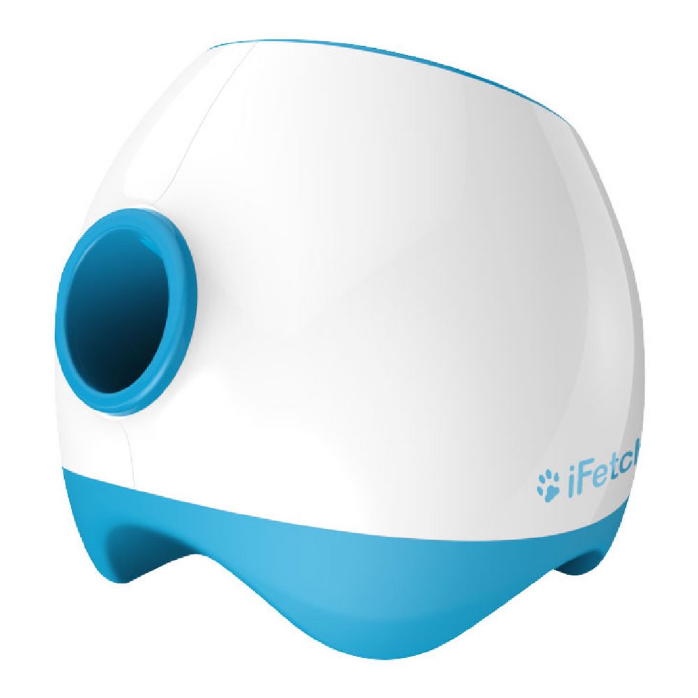 Ifetch for large dogs new arrivals